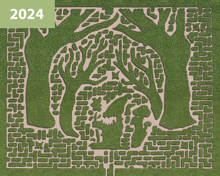 Corn Maze Photo Archive | Our mazes over time | Sever's Festivals