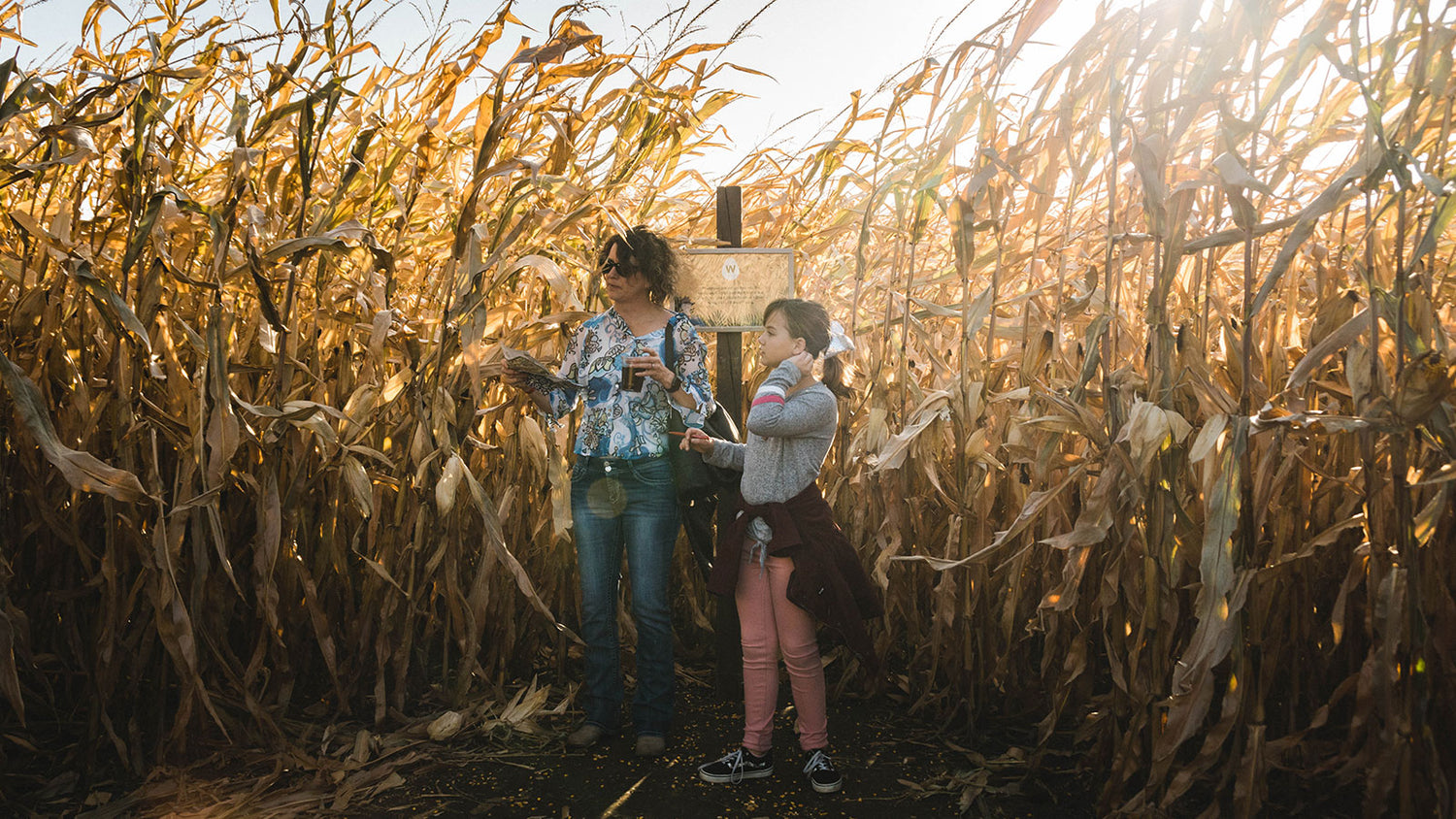 Fall Festival | Attractions & Activities For All Ages | Sever's Festivals