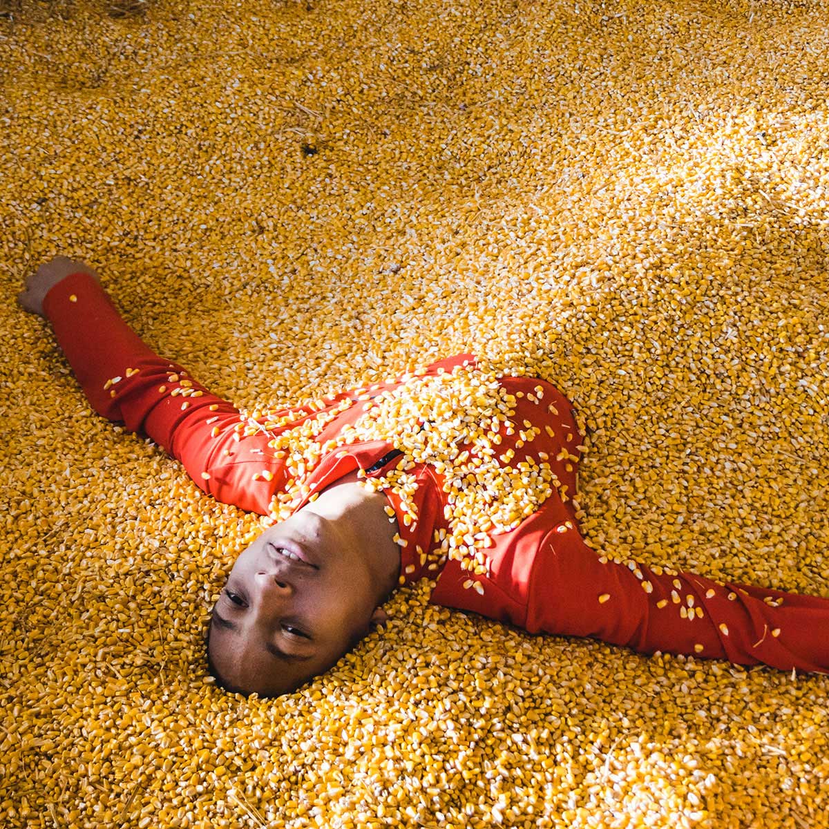 Fall Festival | Attractions & Activities For All Ages | Sever's Festivals