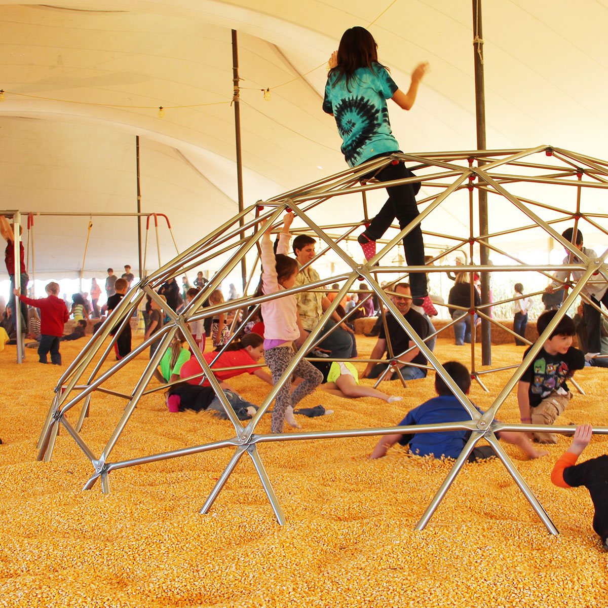 Fall Festival | Attractions & Activities For All Ages | Sever's Festivals